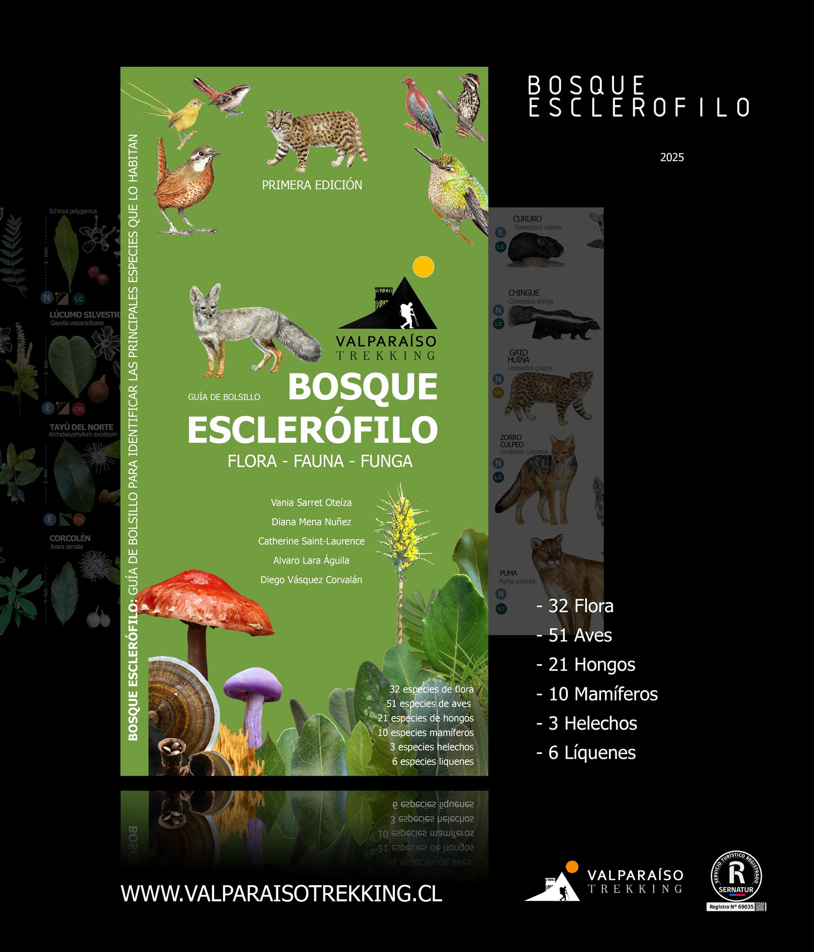 Guía de bosque esclerófilo – Valparaiso trekking
