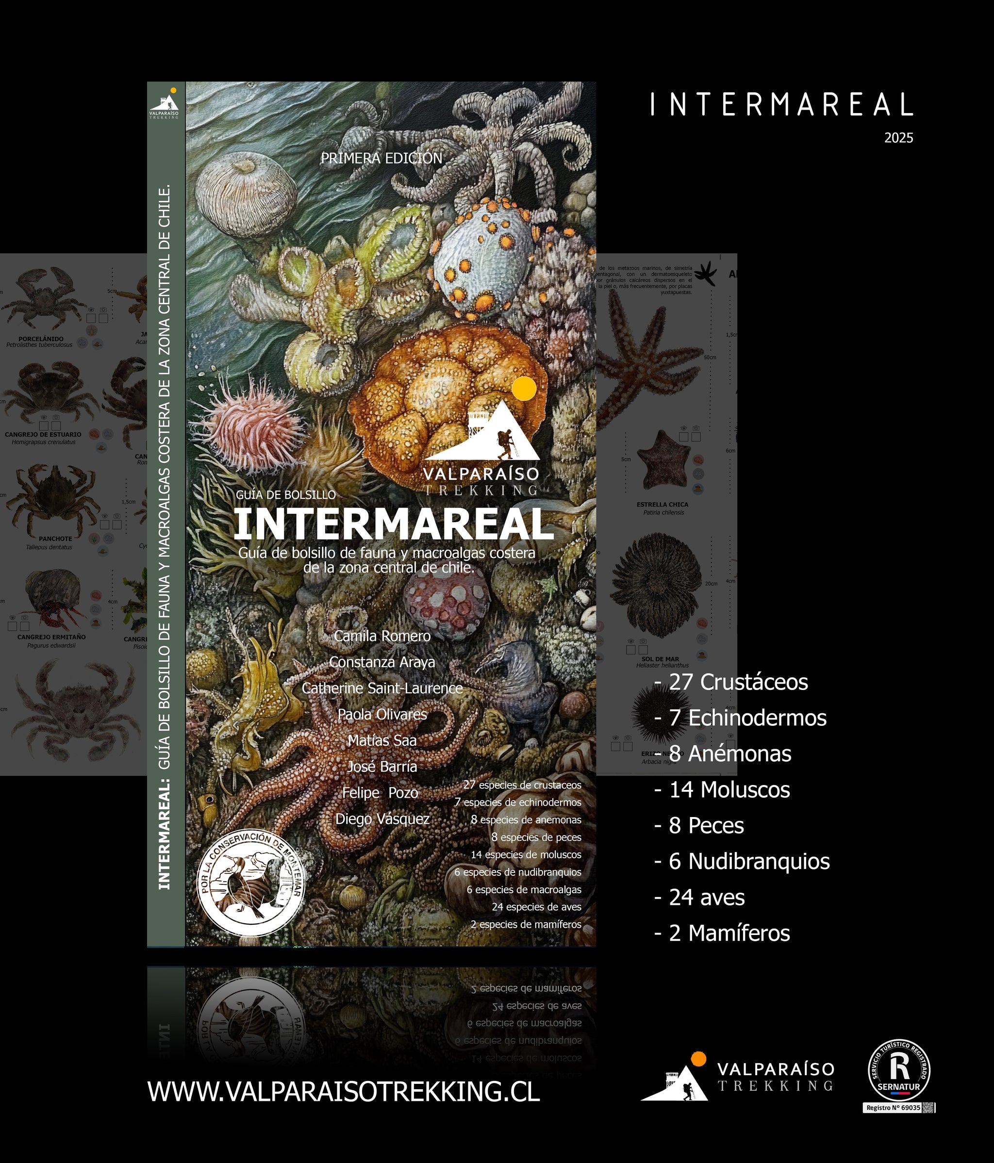 Guía intermareal – Valparaiso trekking